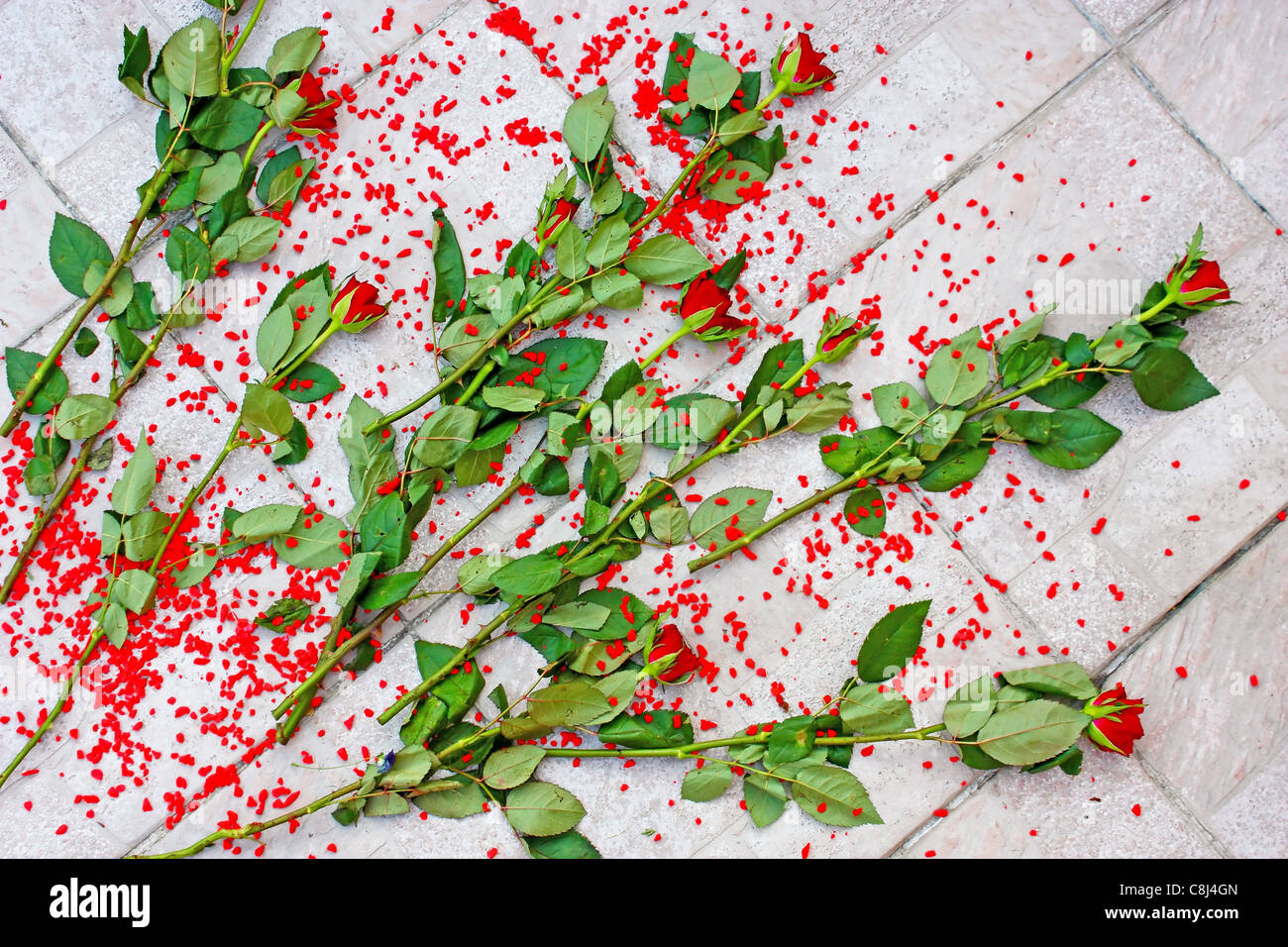 Bouquet of red roses thrown on floor Stock Photo - Alamy