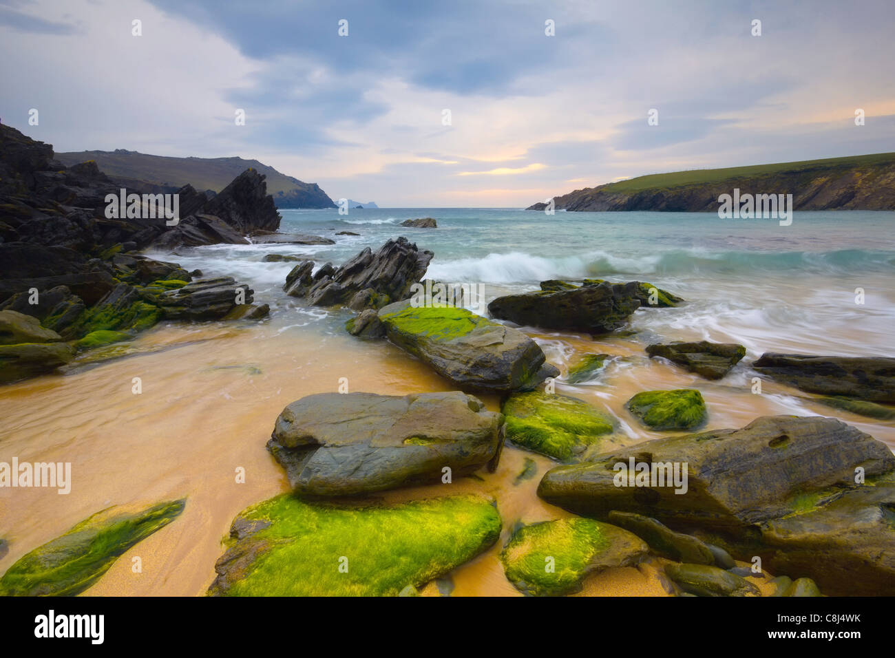 evening light illuminates West Kerry Costline at Clogher Head, Co.Kerry ...
