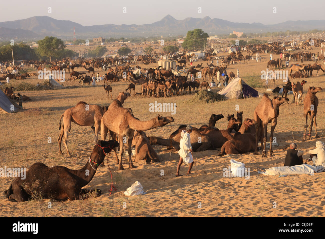Pushkar, Rajasthan, India, Asia, pushkar mela, pushkar fair, pushkar ...