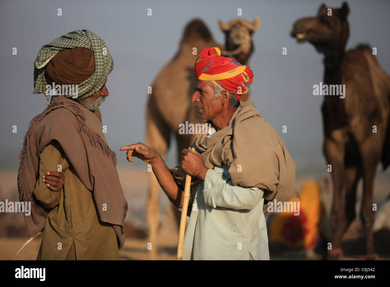 Pushkar, Rajasthan, India, Asia, pushkar mela, pushkar fair, pushkar ...