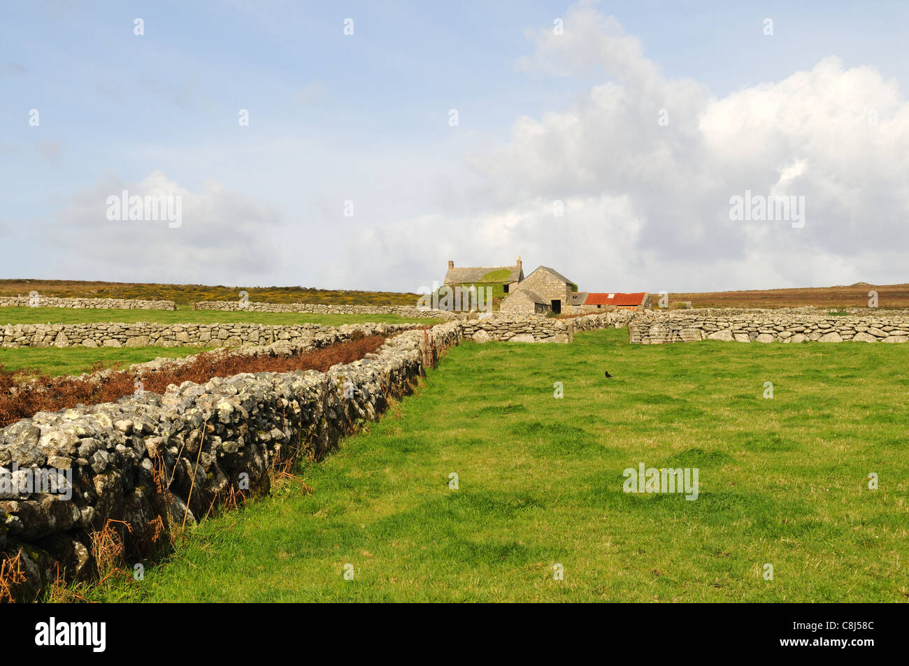 Derelict Farmhouse and old stone walls near Morvah Cornwall England UK ...