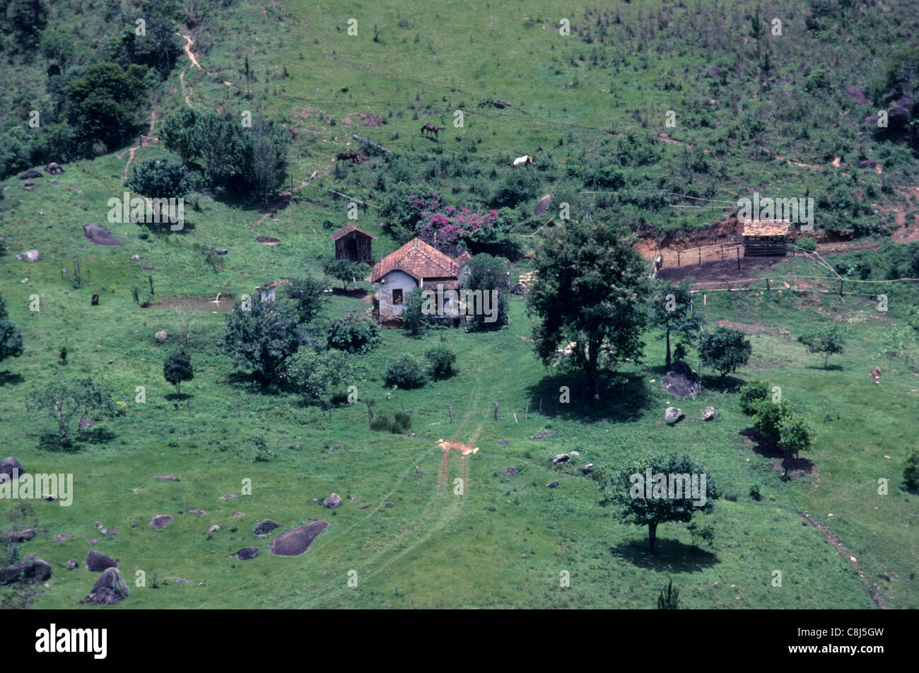 Smallholder farmer brazil hi-res stock photography and images - Alamy