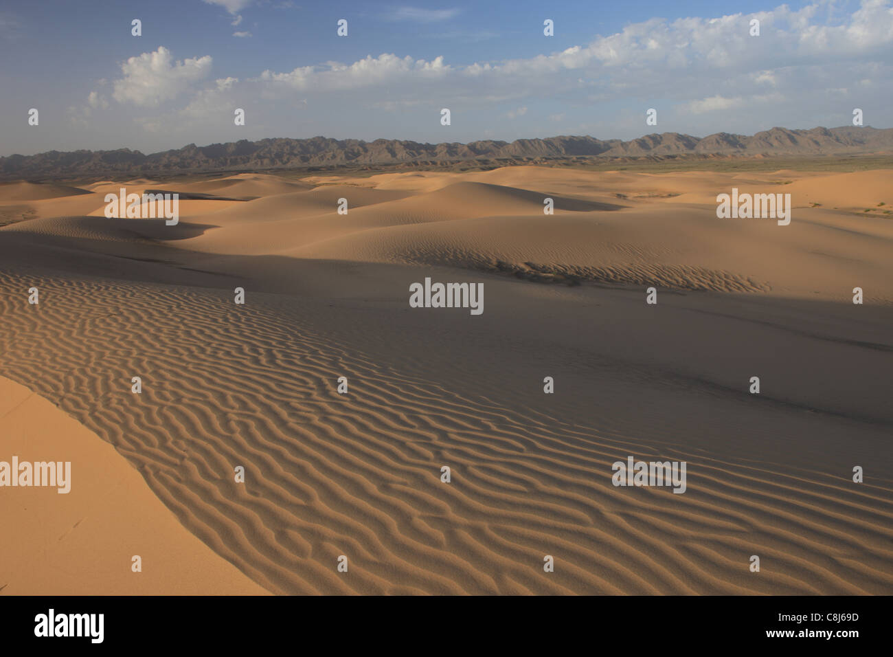 Gobi Desert, Mongolia, cold desert, camel, Argali-sheep, Altai ...