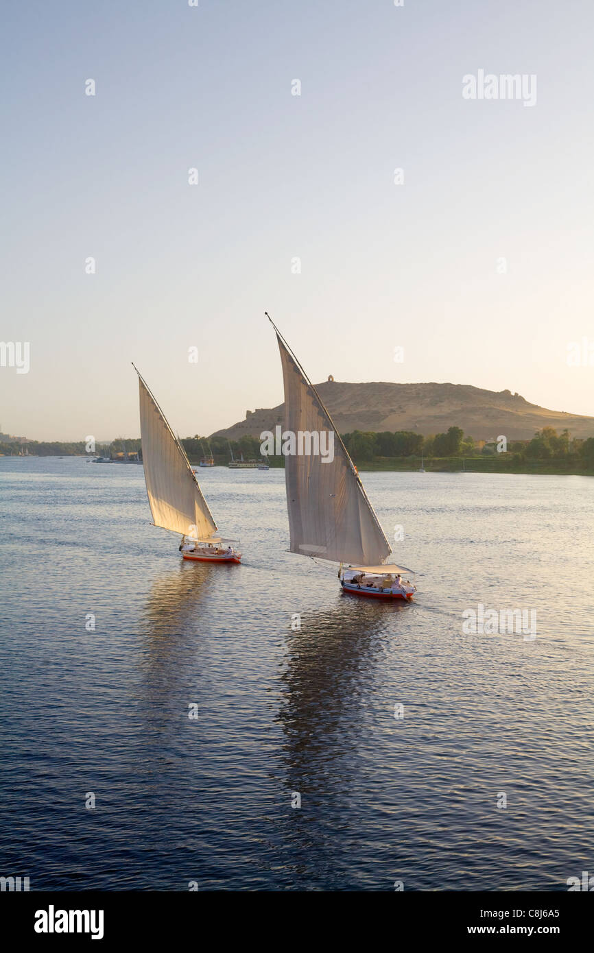 Two feluccas sail down the Nile River at sunset at Aswan, Egypt Stock ...