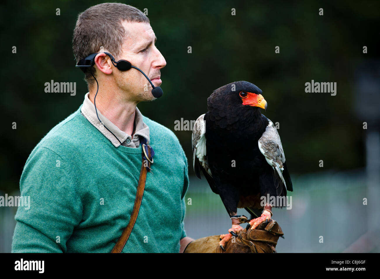 Bird Handler High Resolution Stock Photography and Images - Alamy