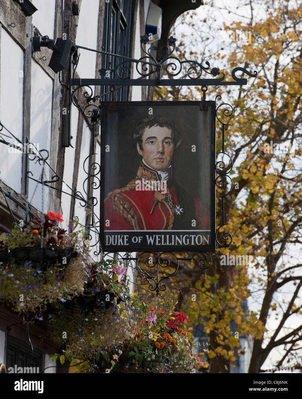 Hanging pub sign "Duke of Wellington " Public House Stock Photo - Alamy