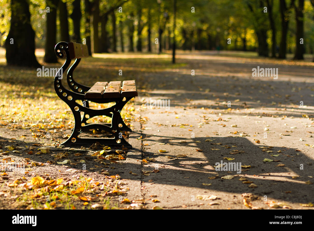 Sunlit park bench hi-res stock photography and images - Alamy