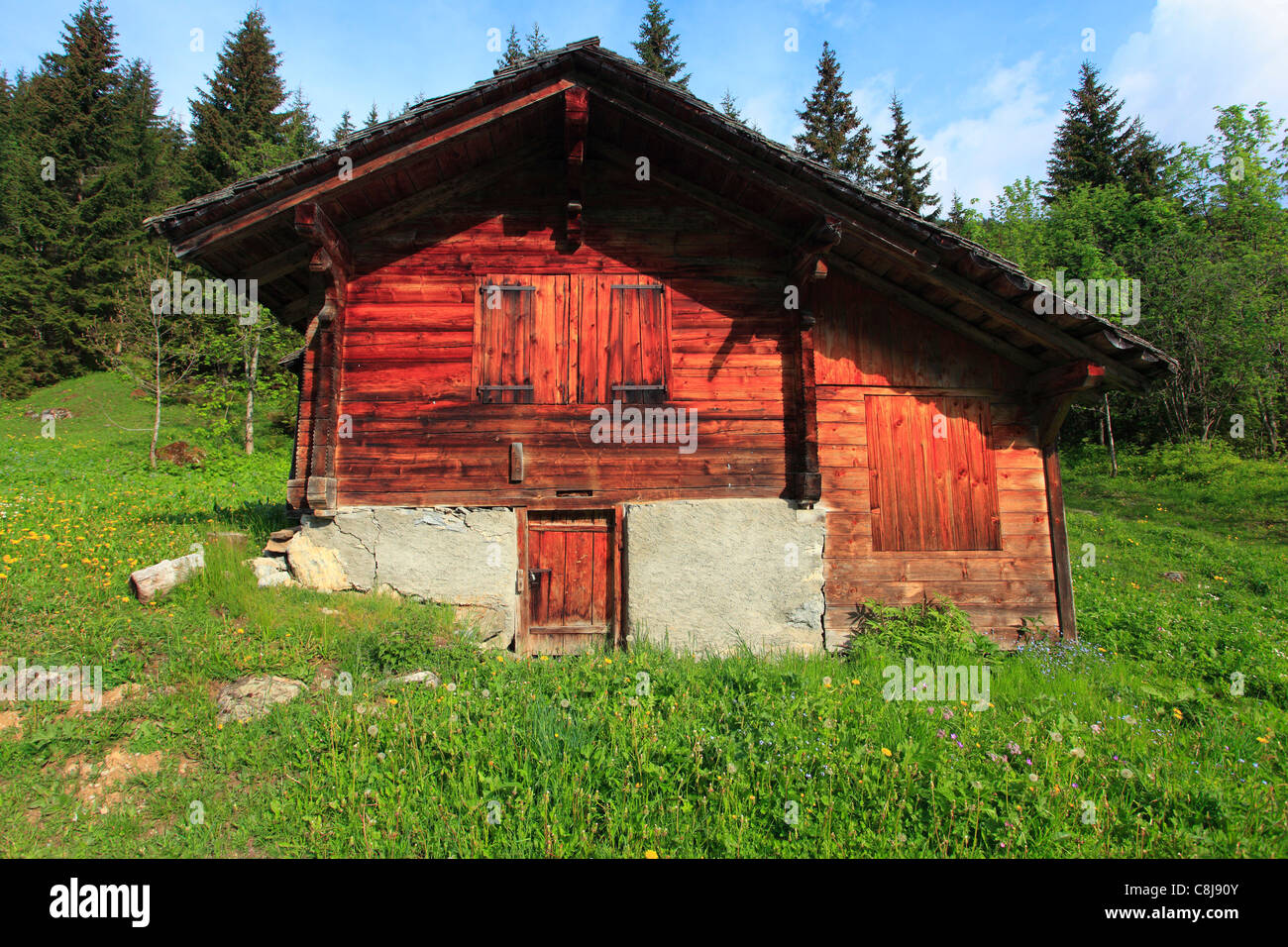 Alp, alpine hut, mountains, mountain spring, mountain hut, Bernese ...
