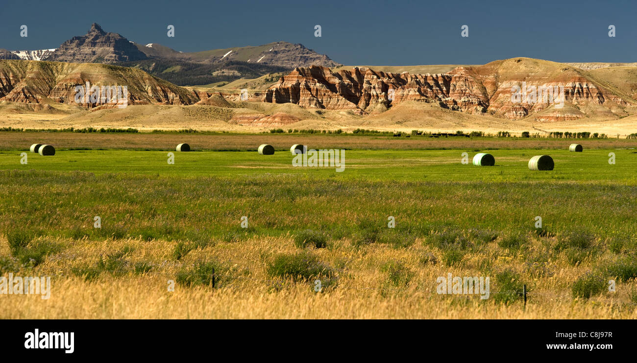 Agriculture landscape in Colorado USA Stock Photo - Alamy
