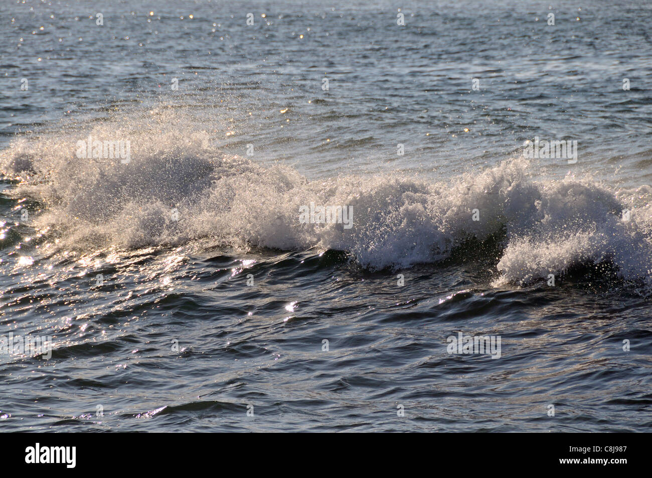 Asia, surf, breaker, quarry worker, Ceylon, sea, ocean, South Asia ...