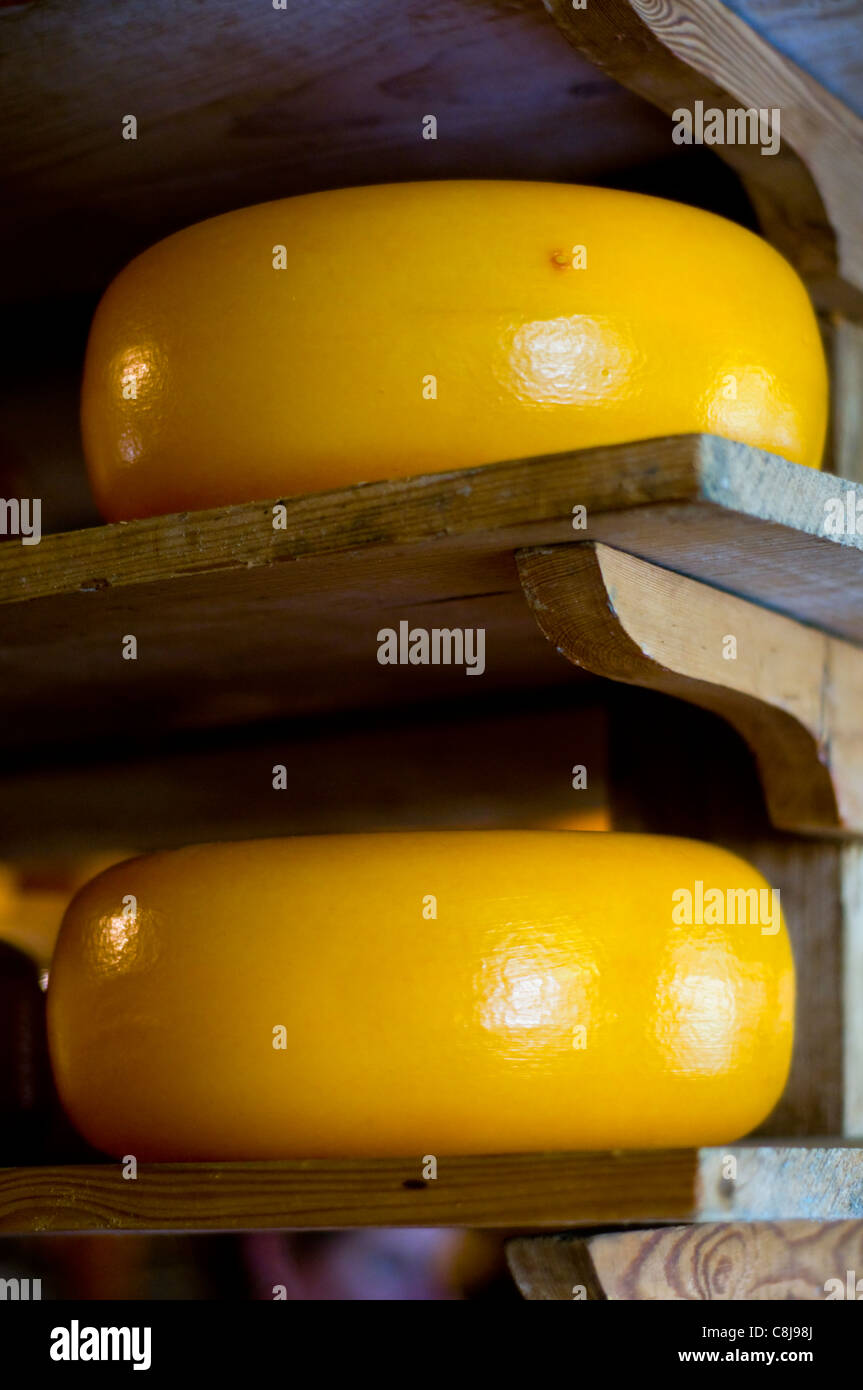 Whole round cheeses maturing on wooden shelves Stock Photo - Alamy