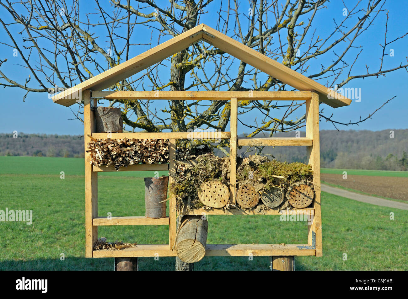 Insects boxes hi-res stock photography and images - Alamy