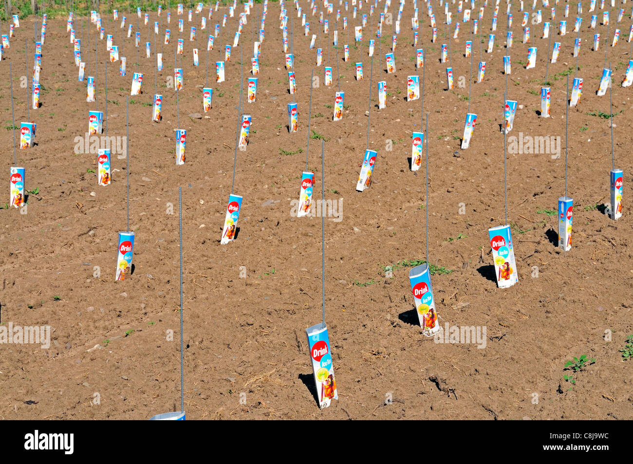 Botany, Germany, packages, Europe, flora, protected, safe, drink ...