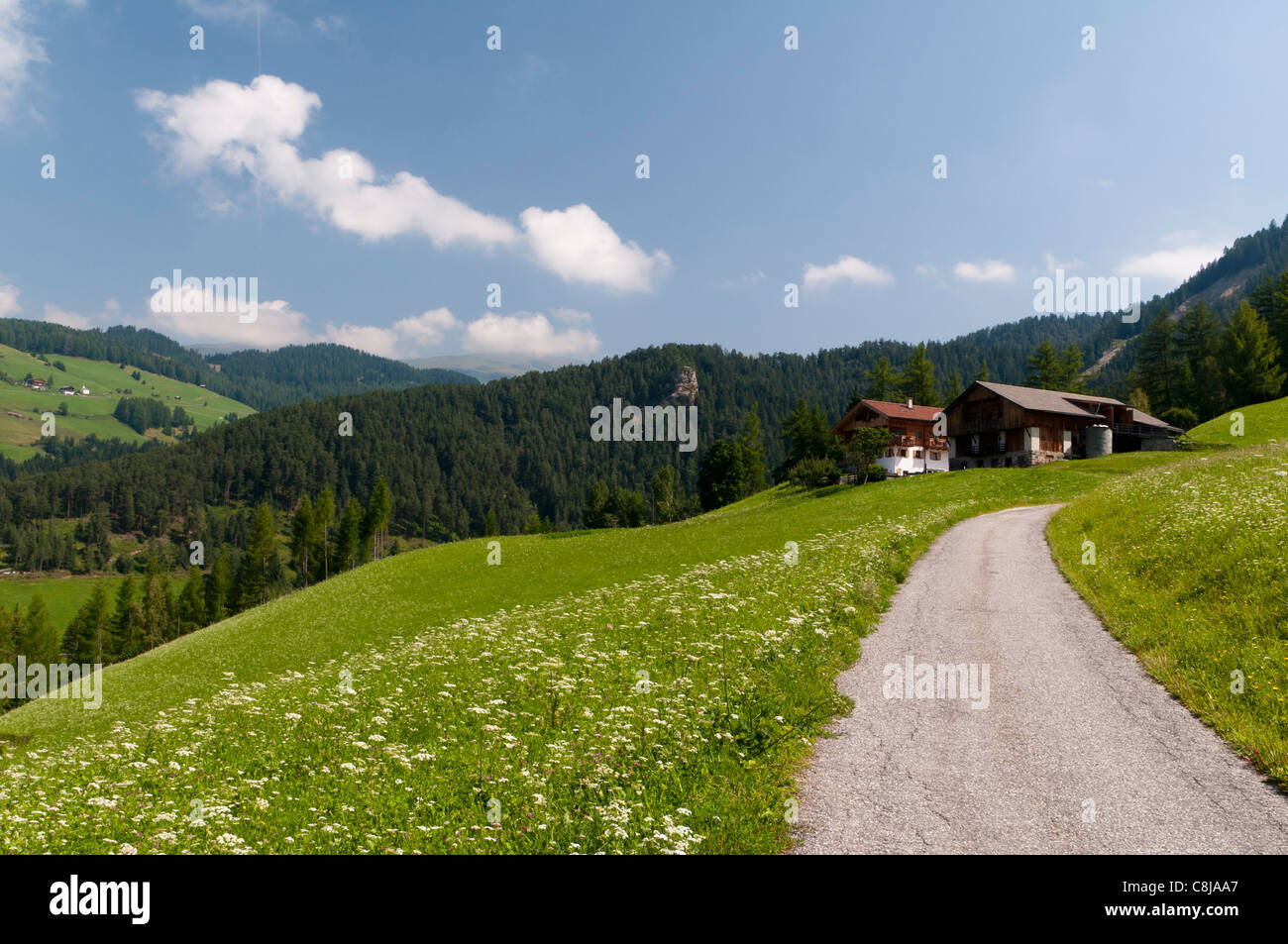 Santa Maddalena, Funes Valley (Villnoss), Dolomites, Trentino Alto ...