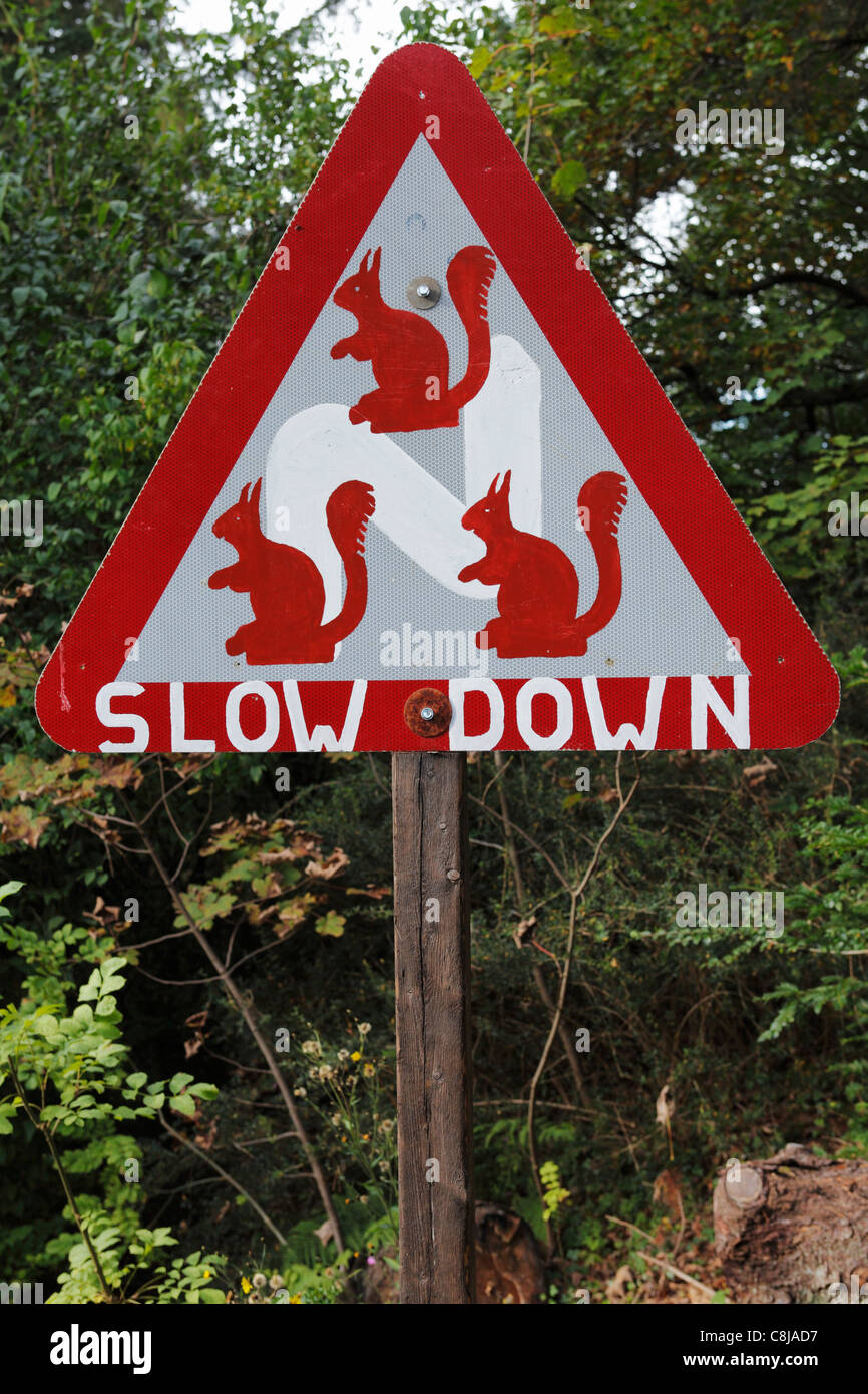 Red squirrel warning sign hi-res stock photography and images - Alamy