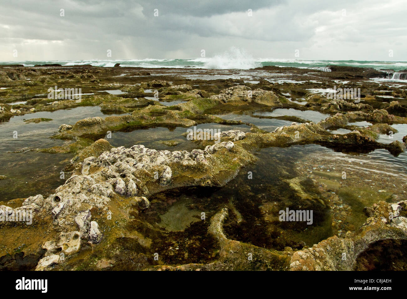Tide pools at low tide at Mission Rocks in iSimangaliso Wetland Park ...