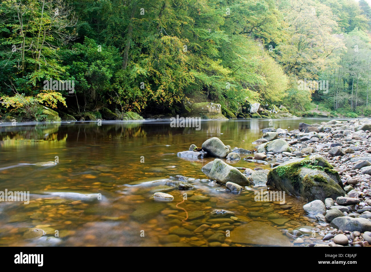The River Allen in Northumberland Stock Photo - Alamy