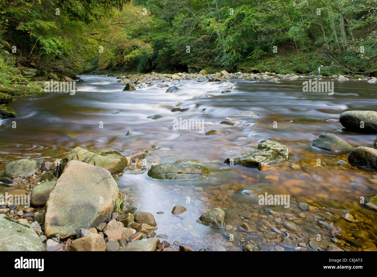 The River Allen in Northumberland Stock Photo - Alamy