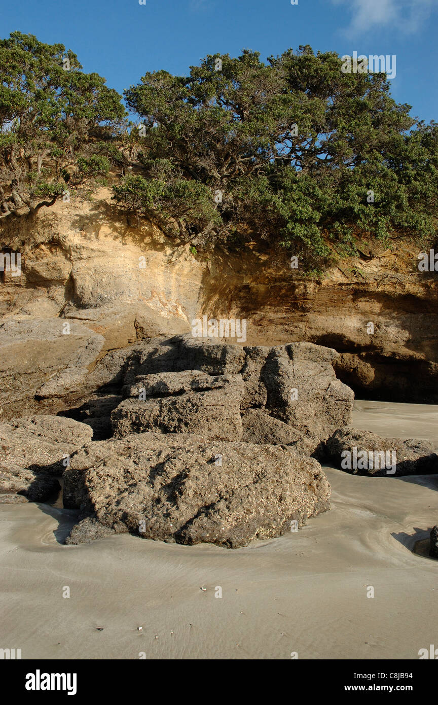 Anchor Bay Tawharanui Stock Photo - Alamy