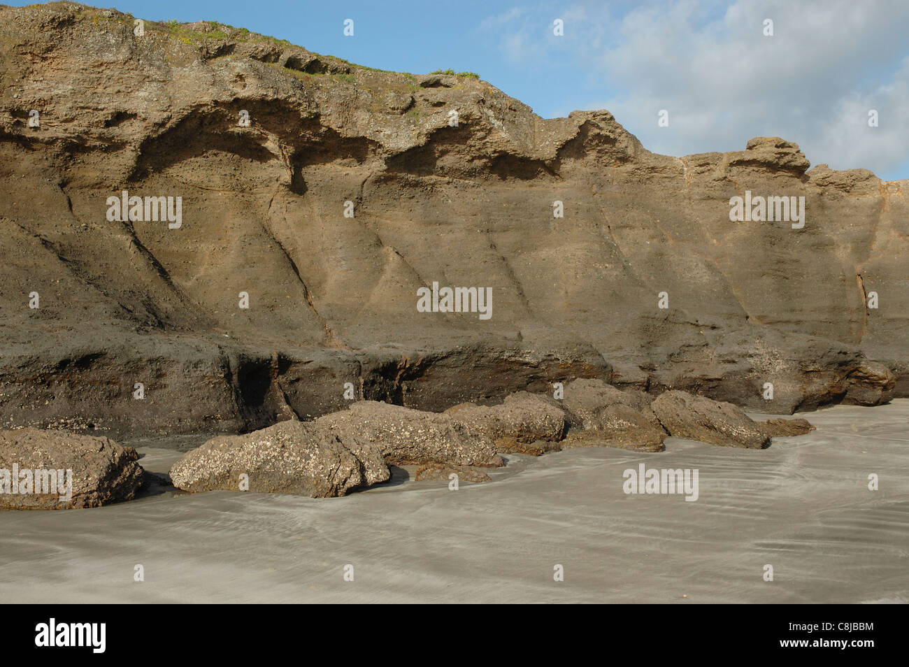 Tawharanui regional park hi-res stock photography and images - Alamy
