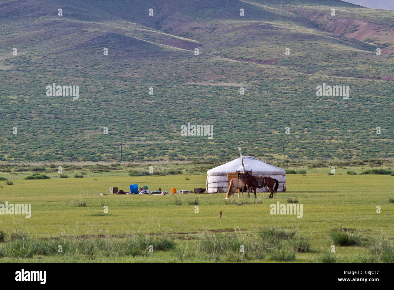 Mongolian Plain