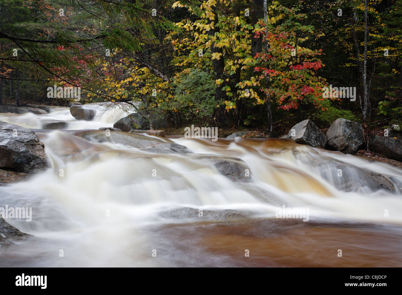 Swift River in the White Mountain National Forest of New Hampshire USA ...