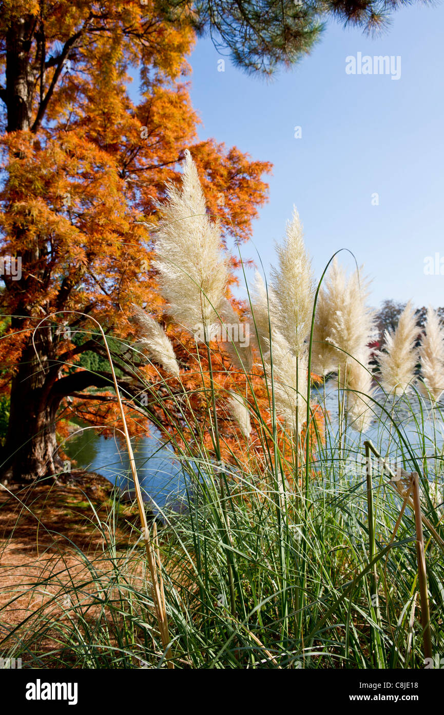 Colours of england hi-res stock photography and images - Alamy