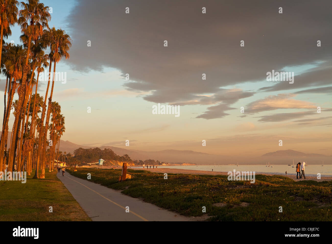 Palm boulevard hi-res stock photography and images - Alamy