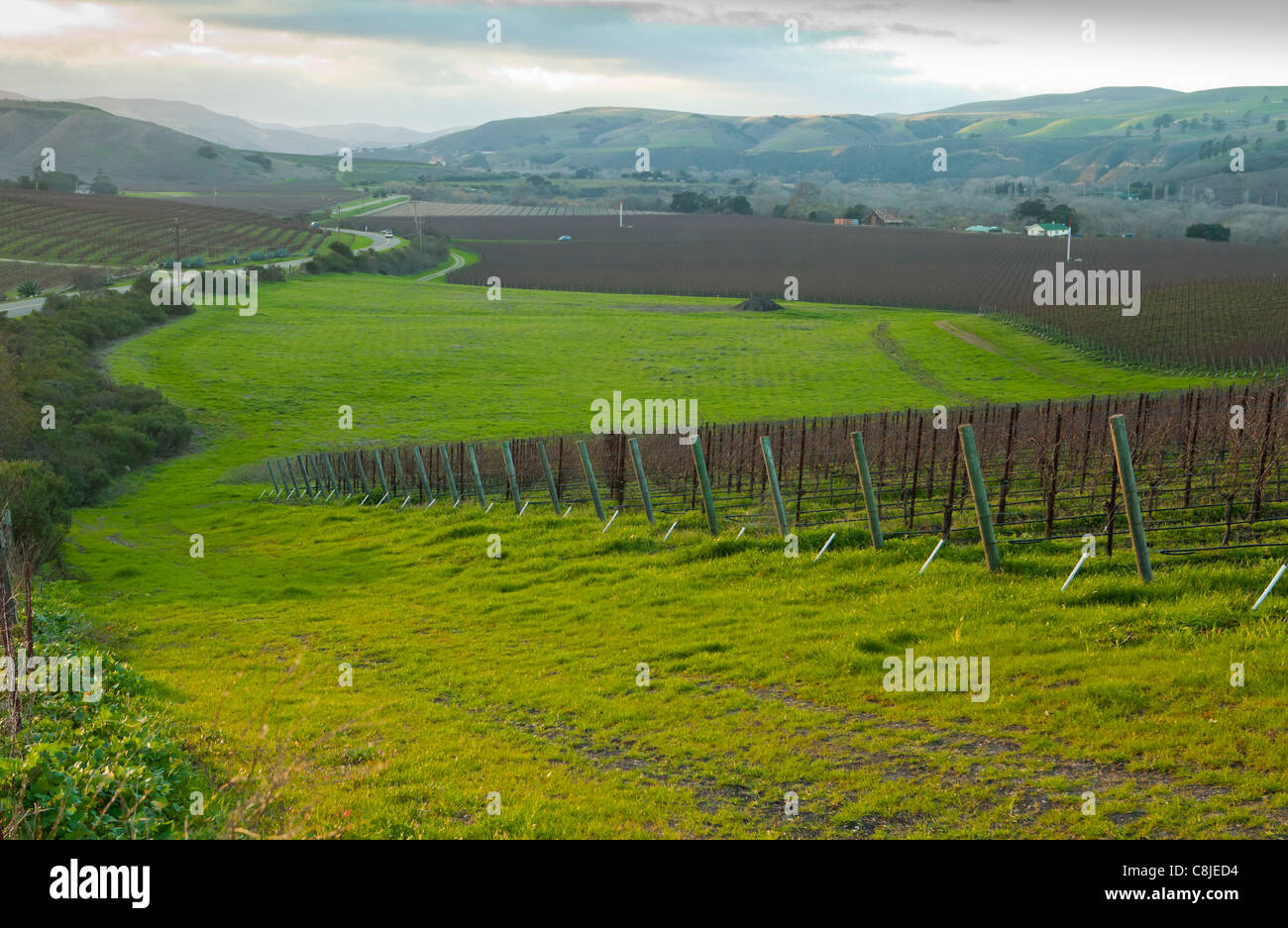 Green hills in santa hi-res stock photography and images - Alamy
