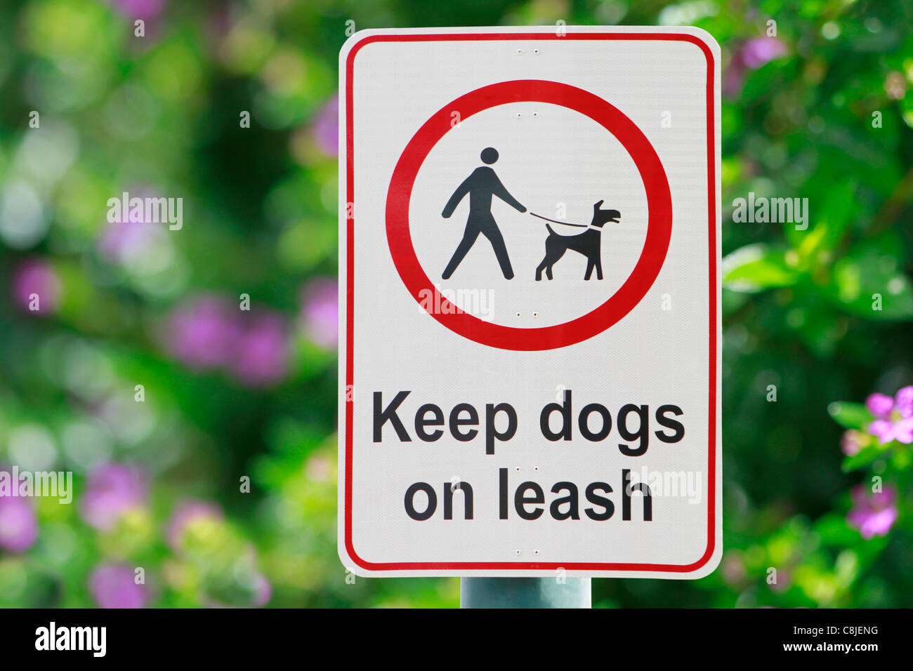Dogs on leash sign hi-res stock photography and images - Alamy