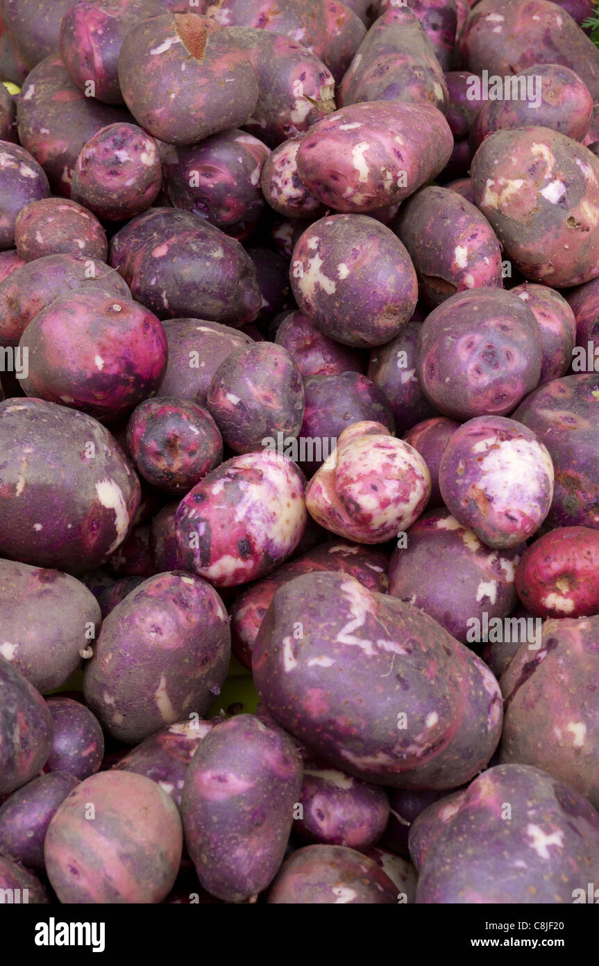 Red potatoes hi-res stock photography and images - Alamy