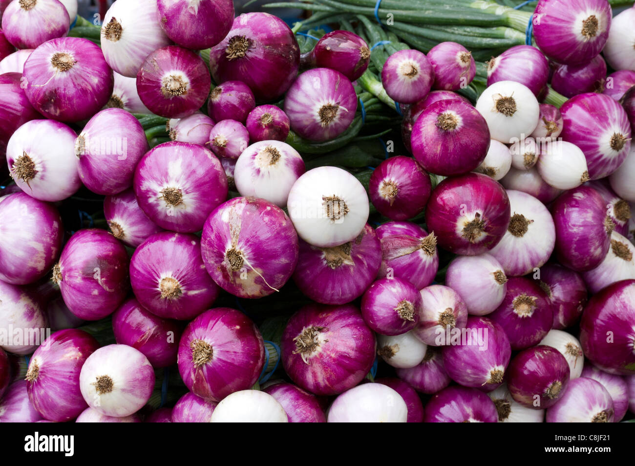 Red and white onions on display at the farmer's market Stock Photo - Alamy