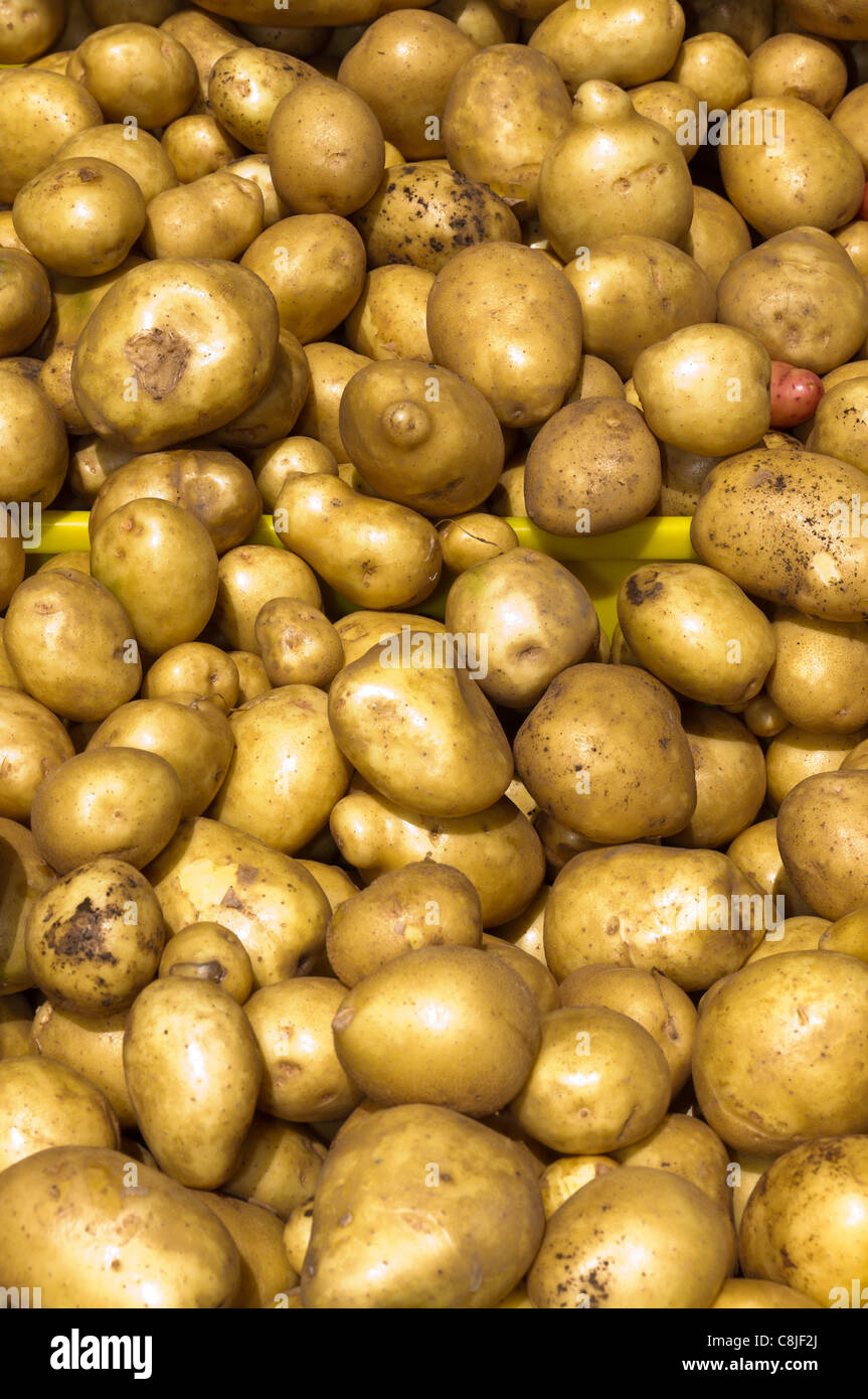 Freshly dug potatoes on display at the farmer's market Stock Photo - Alamy