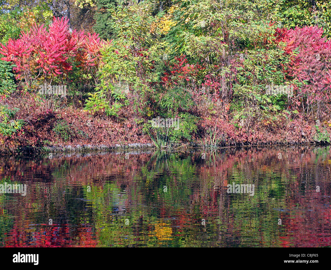 River landscape reflection trees hi-res stock photography and images ...
