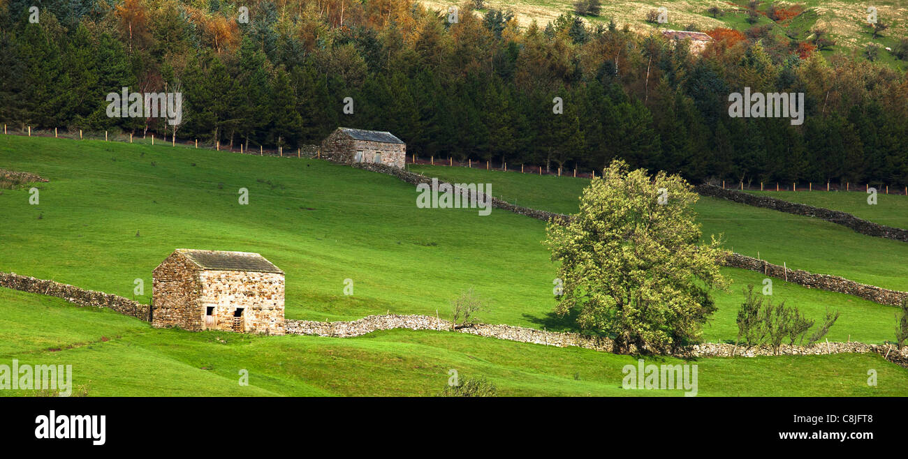 Barns in Swaledale Stock Photo - Alamy