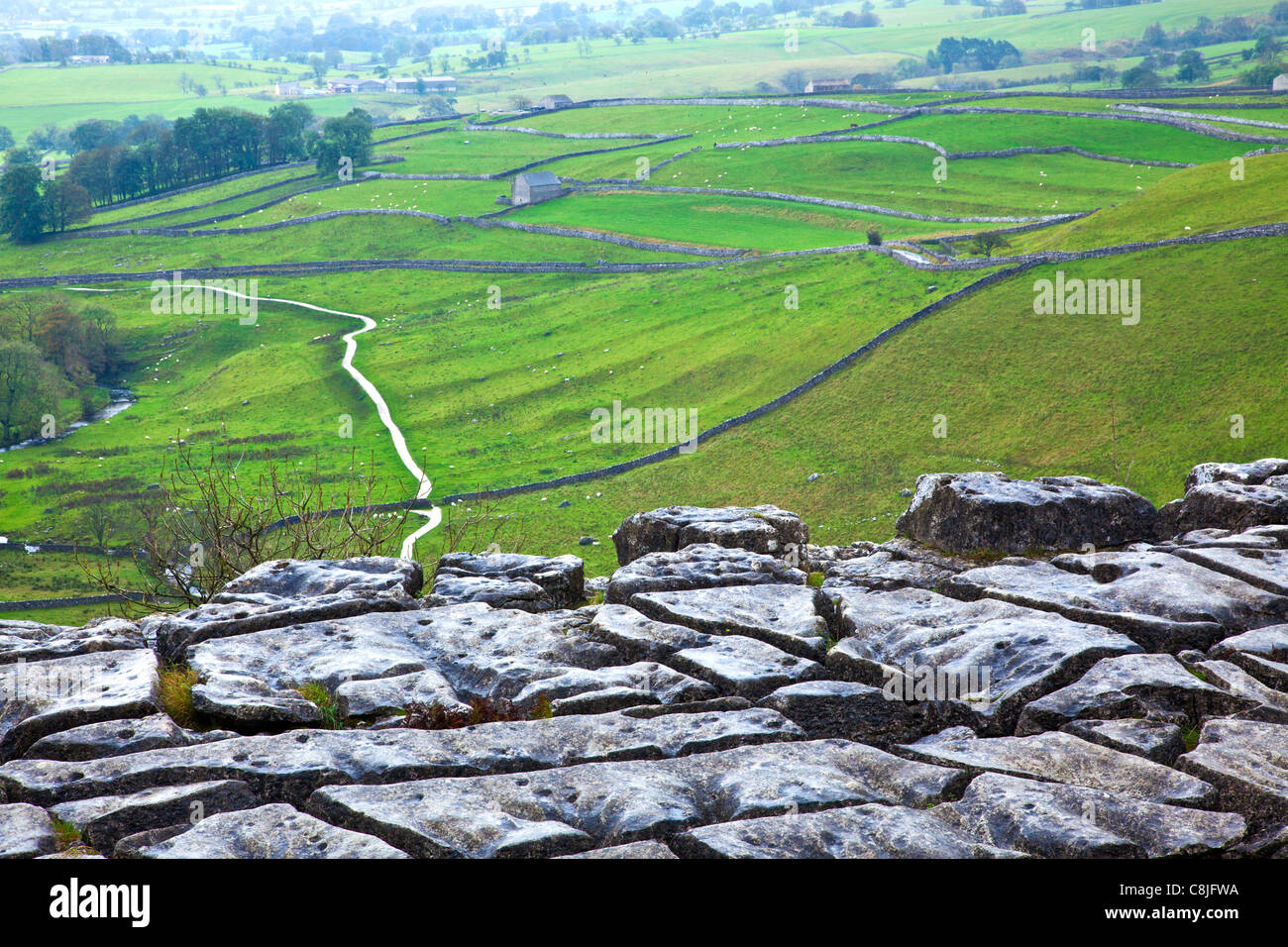 Clints and grikes hi-res stock photography and images - Alamy