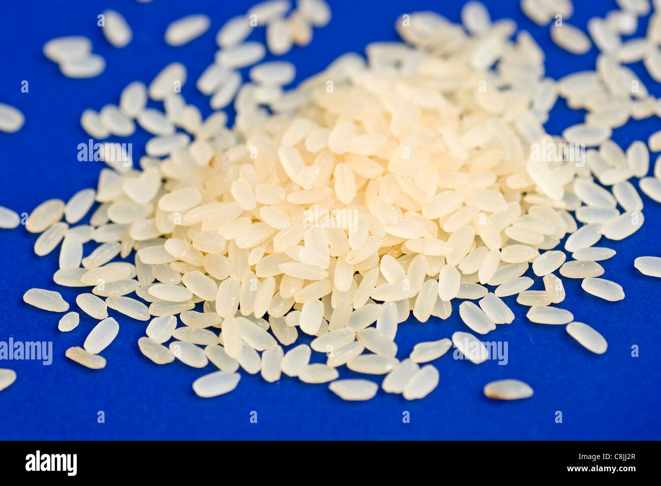 Avorio rice hi-res stock photography and images - Alamy