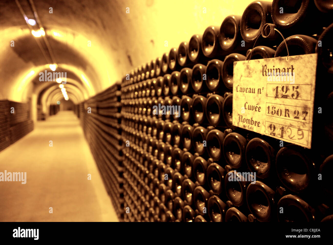 Rack of bottles in the Ruinart Champagne house cellar in Reims France ...