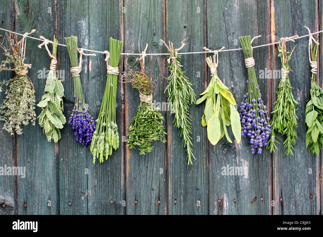 Rod herb hi-res stock photography and images - Alamy