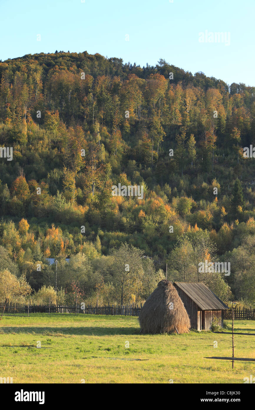 Autumn rural landscape in Bucovina,Romania Stock Photo - Alamy