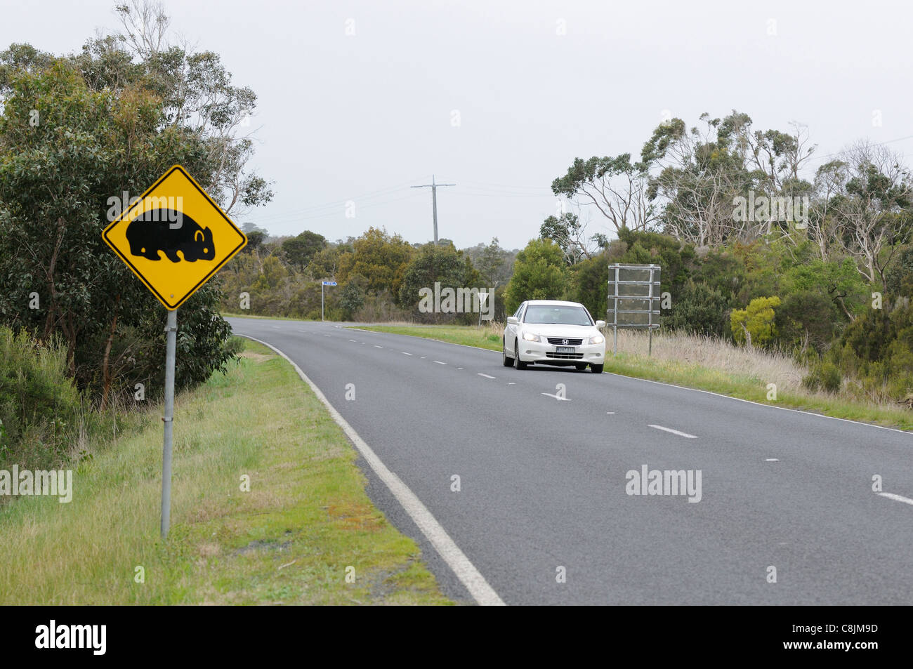 Wombat road sign photographed in southern australia hi-res stock ...