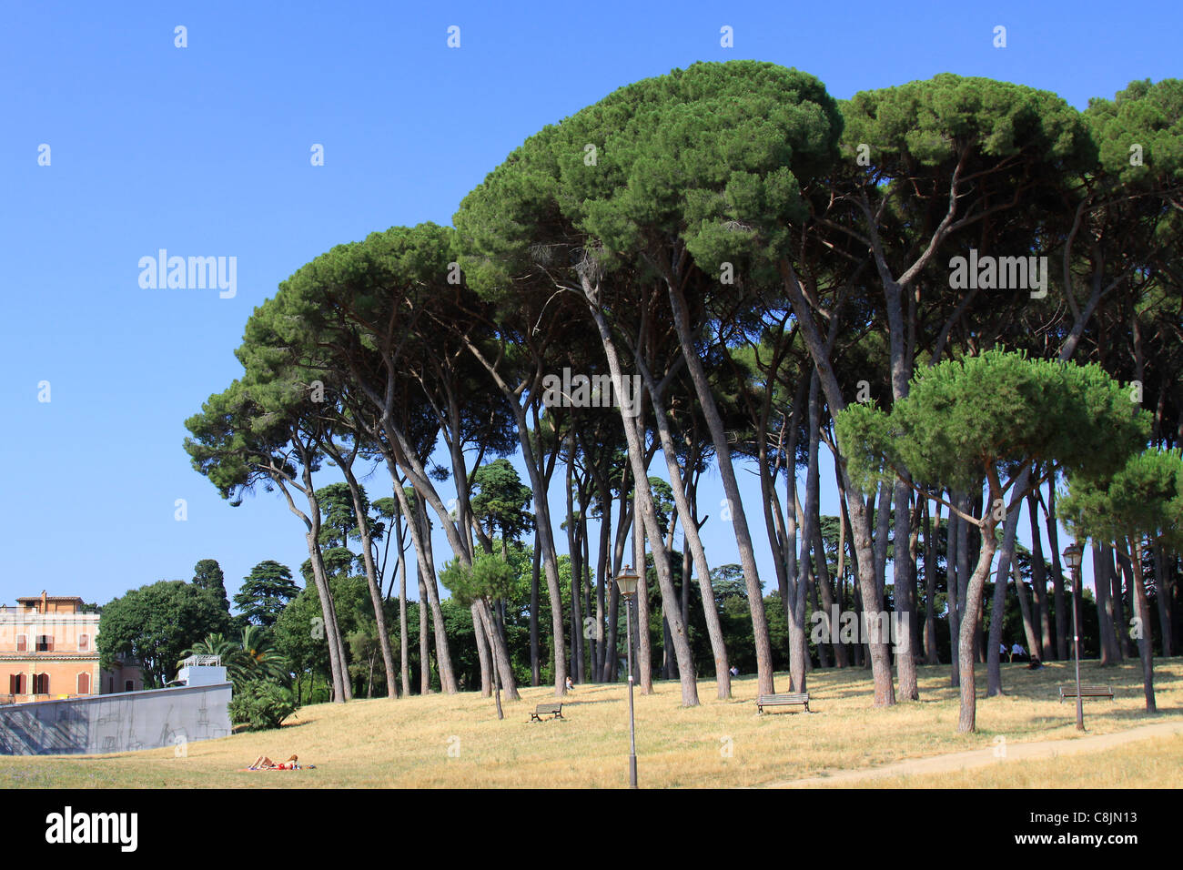 Garden park of the villa borghese hi-res stock photography and images ...