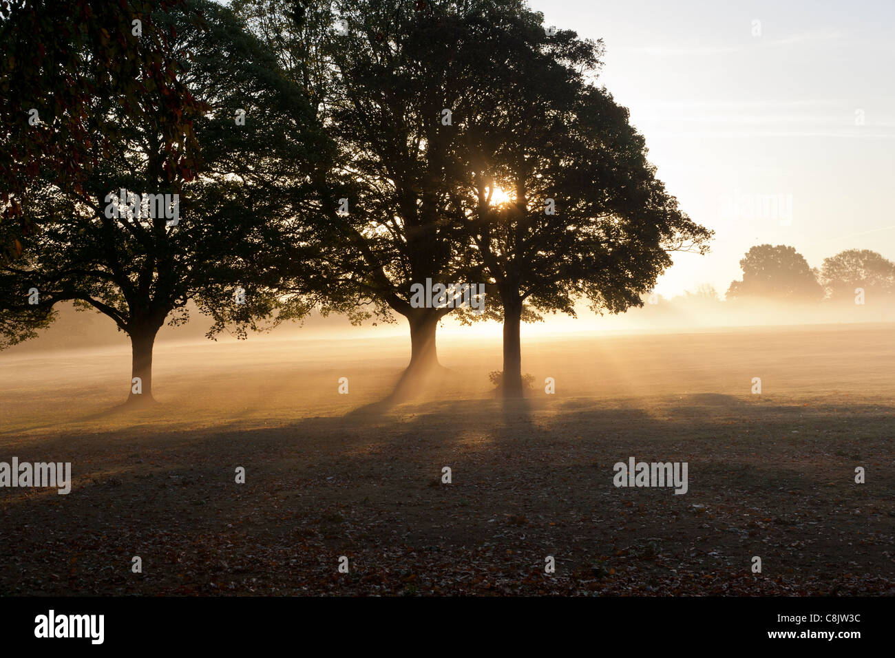 Mist shadows hi-res stock photography and images - Alamy