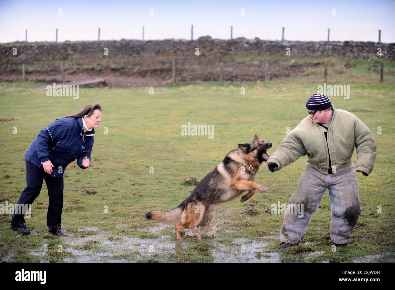 Crime dog hi-res stock photography and images - Alamy