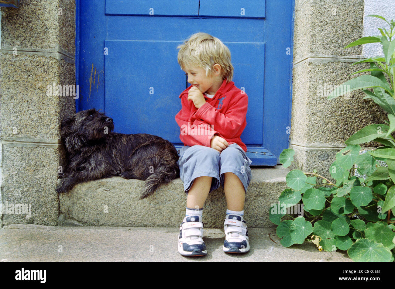 Boy and pet dog chat communicate Stock Photo - Alamy