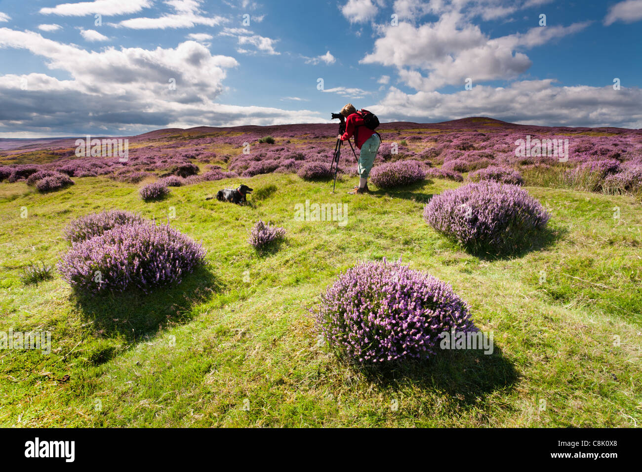 Yorkshire landscape photographer hi-res stock photography and images ...