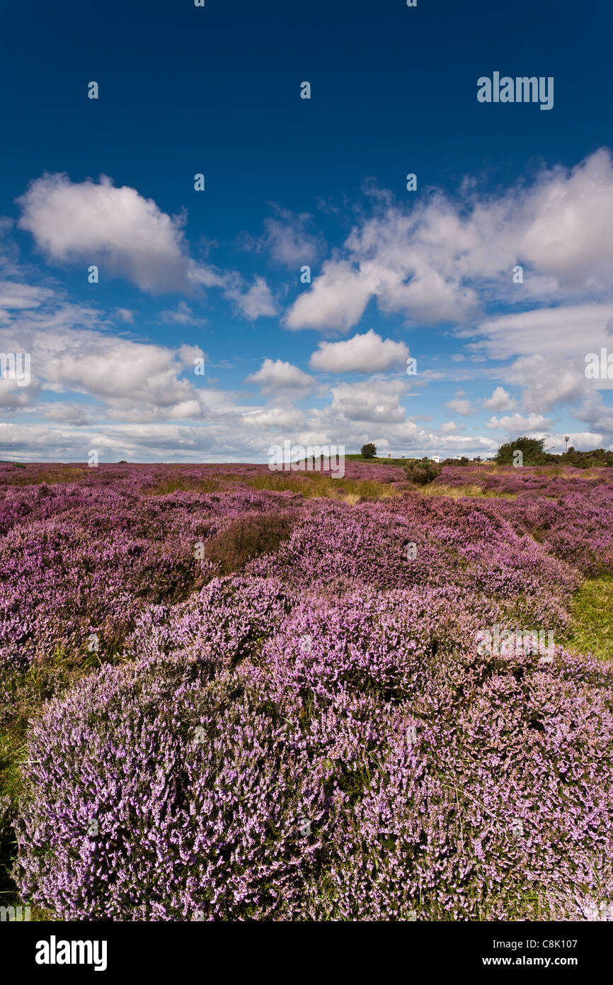 Nym north york moors landscape hi-res stock photography and images - Alamy