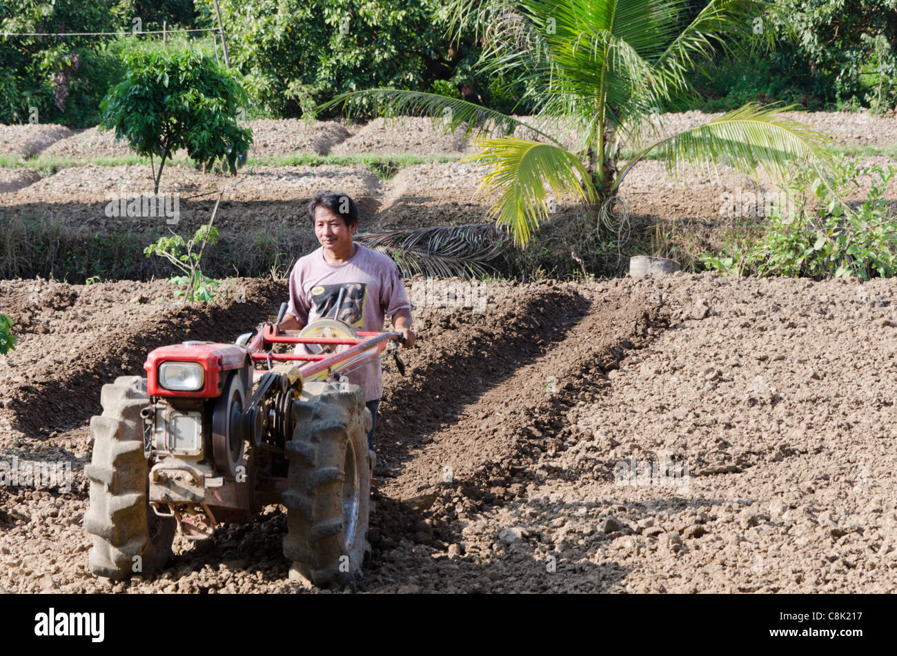 Farmer plowing field by walking and steering a hand held tractor with 2 ...