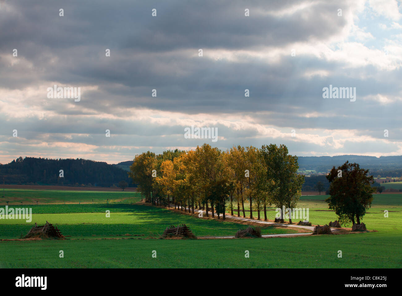 Autumn landscape in Czech mountains Stock Photo - Alamy