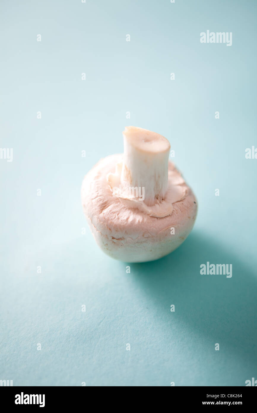 Single button hi-res stock photography and images - Alamy